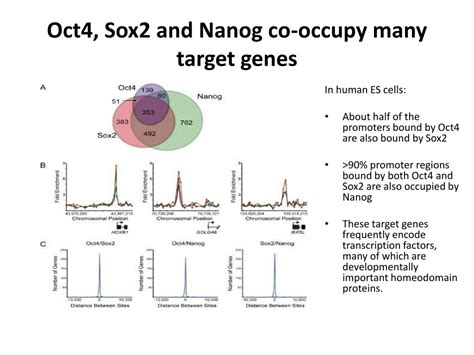 Ppt Special Topics In Genomics Powerpoint Presentation Free Download