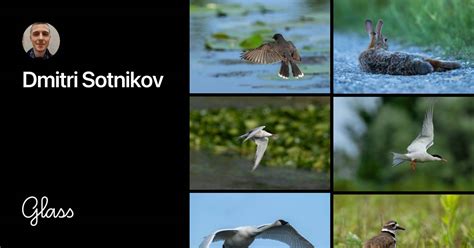 Dmitri Sotnikov On Glass Photography Community