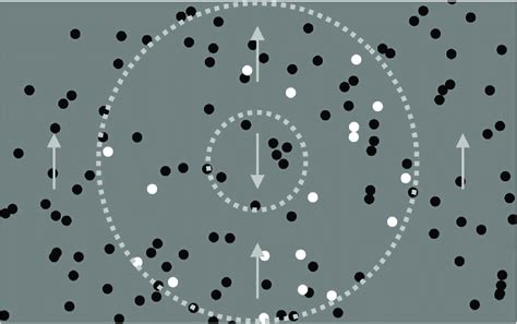 Stimulus Configuration Used In Experiment 2 White Dots Show Targets