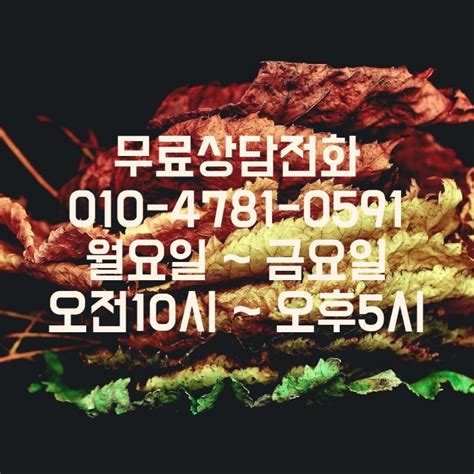 후방십자인대 파열손상과 동요장해 보험사고 보상지식 손해사정사 이제형