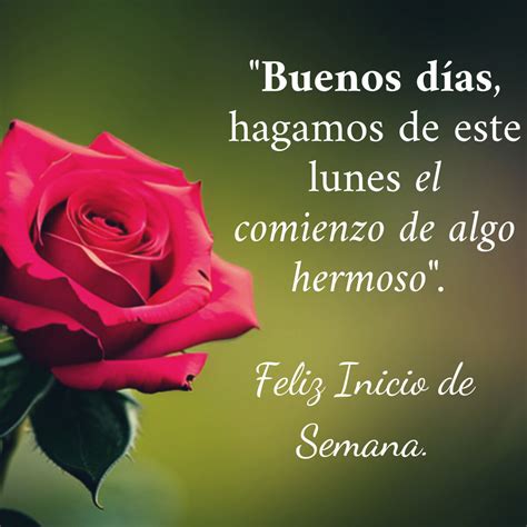 Feliz Lunes Frases Chistosas