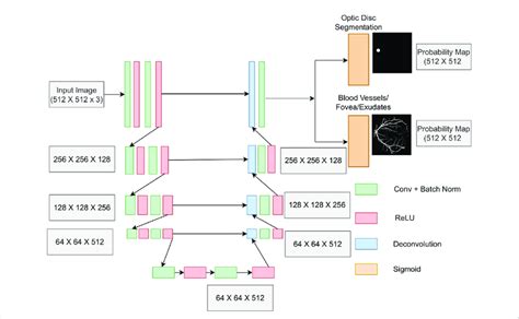 Architecture Of The Proposed Multi Tasking U Net Model Download