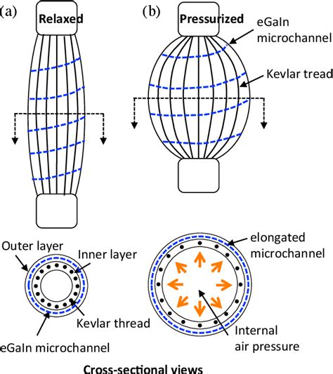 Figure 2 From Smart Pneumatic Artificial Muscle Actuator With Embedded Microfluidic Sensing