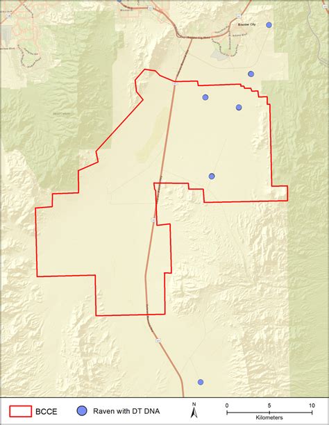 Collection Localities Of Raven Pellets Data Organized And Map