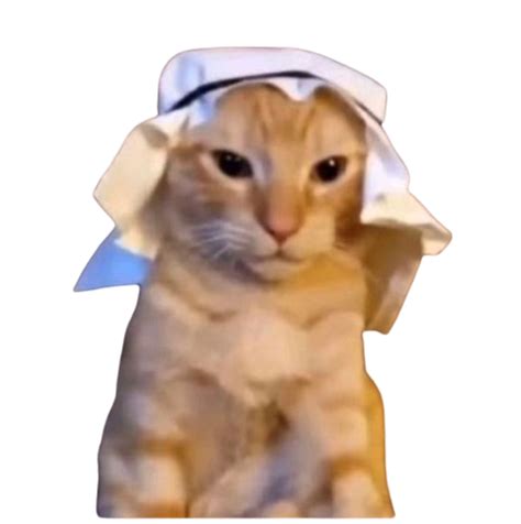 Whack Habibi