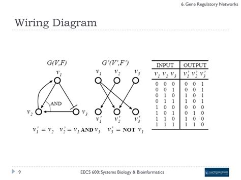 Ppt 6 Gene Regulatory Networks Powerpoint Presentation Free