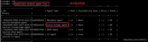 Openstack Network Agent List 缺少 Linux Bridge Agentfailed To Start Openstack Neutron Layer 3