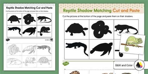 Reptile Shadow Matching Cut And Paste Worksheet Twinkl