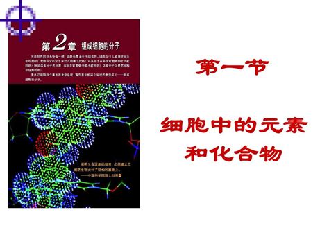 21细胞中的元素和化合物word文档在线阅读与下载无忧文档