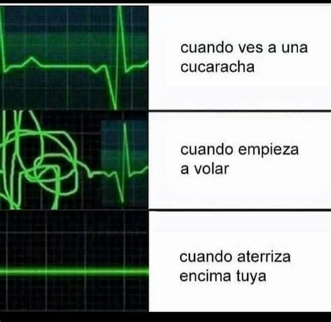 Cucaracha Meme Subido Por Floric Memedroid