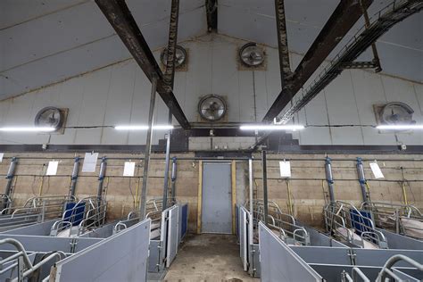 Pig Genetics Switch Leads To Major Revamp Of Grower Facility