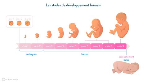 Reproduction Quotes