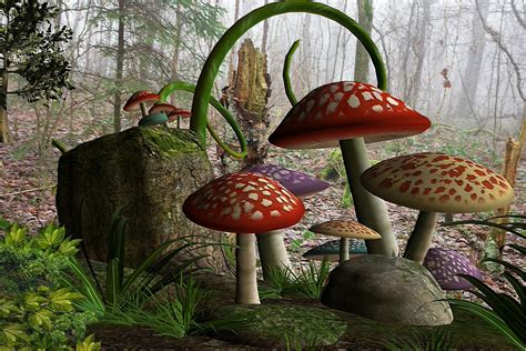 mushroom forest wallpaper