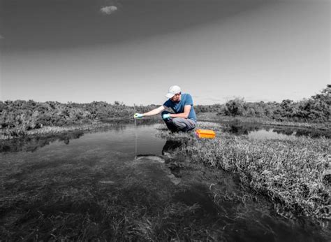 Meeting The Challenges Of Environmental Data Management Acquire