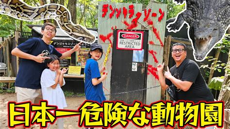 入るな危険！？日本一危険な動物園に潜入！！⑤ゴールデンカムイ聖地巡礼！北海道家族旅行♪2023夏himawari Ch Youtube