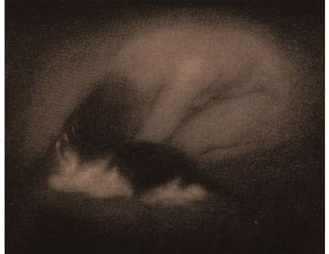 Edward Steichen Nude With Cat From Camera Work Ii 1903 Mutualart
