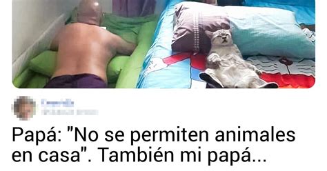20 Usuarios de la red compartieron imágenes de momentos donde sus
