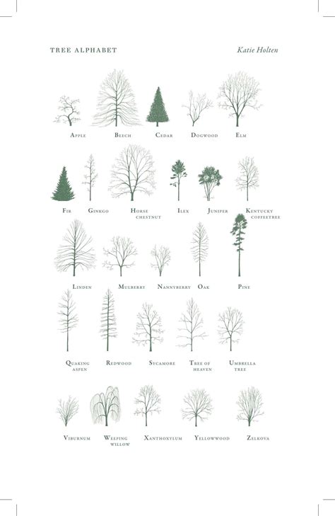 The Language Of Trees Book By Katie Holten Official Publisher Page Simon Schuster AU