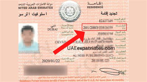 How Can I Find My UAE Visa File Number UAE Expatriates