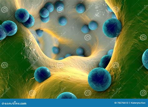 Spherical Bacteria