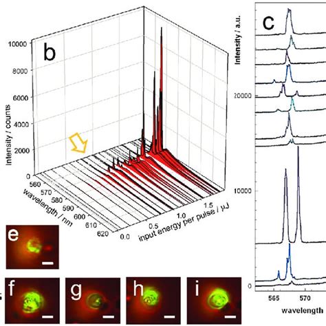 A Input Versus Output Diagram Showing The Transition From Fluorescence