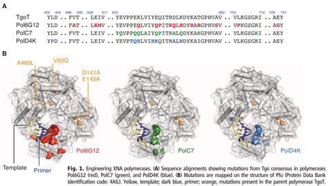 Notes Biotech README Md At Main DearJohnsonny Notes Biotech GitHub