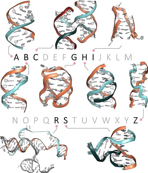 Figure 1 From Interactions Of Small Molecules With Dna Junctions Semantic Scholar