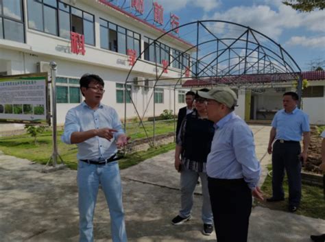 太安农险研究院受邀赴海南省开展国家冬季瓜菜基地建设情况调研 上海太安农业保险研究院