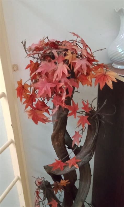 Bonzai Tree Furniture And Home Living Home Decor Artificial Plants And Flowers On Carousell