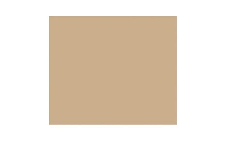 Pool360 Lithochrome Color Hardener Taupe 50 Lb
