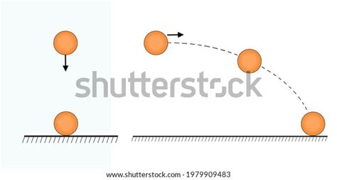 Free Fall Accelerated Motion Photos Images And Pictures Shutterstock