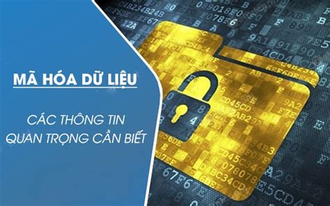 Mã hóa dữ liệu Giải pháp Data Encryption hiệu quả cho doanh nghiệp