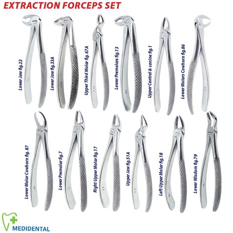 Dental Forceps Numbers