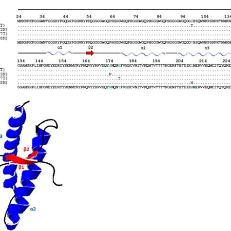 A Sequence Alignment Of The C Terminal Domain Residues 134234 Of Download Scientific Diagram
