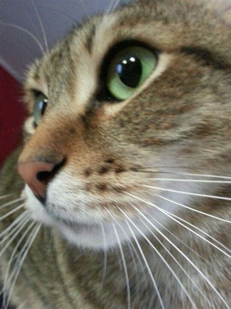 Saw Her Disney Eyes R Disneyeyes