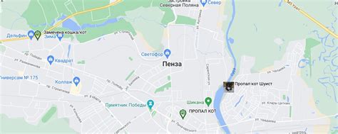 Пенза потеряшки Пропала собака кот в Пензе Пенза и Пензенская