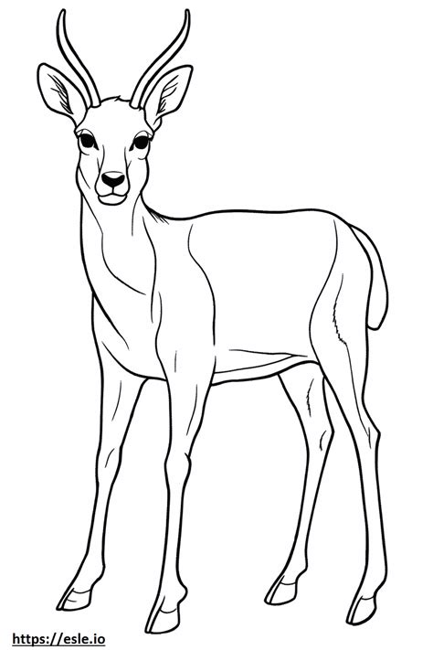 Antelope Friendly Coloring Page