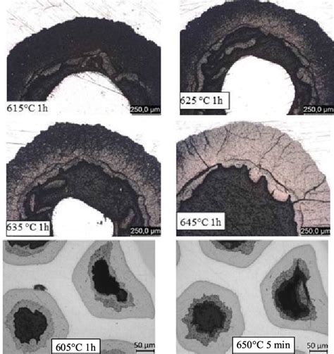 Figure 2 From Mgb2 Multicore Wire Prepared By Imd Technology—investigation Of The Mgb2 Layer