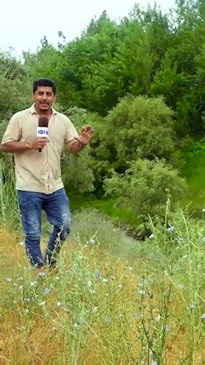 طبعیت زیبای اولنگ، سالنگ جنوبی Shorts Youtube