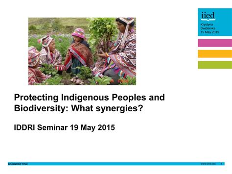 Protecting Indigenous Peoples And Biodiversity Ppt