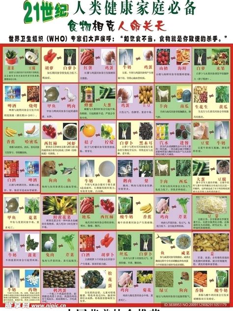 设计图 医疗保健 生活百科 设计图库 昵图网