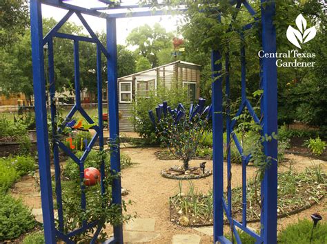 Bromeliads No Lawn Design Plant Secrets Central Texas Gardener