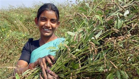 Gender Responsive Approach Essential To Transform Indias Agrifood