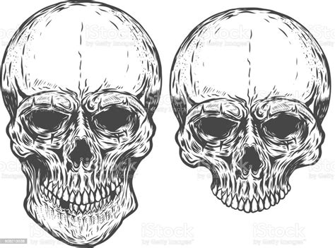 흰색 배경에 고립 된 인간의 두개골의 집합입니다 벡터 디자인 요소 건강관리와 의술에 대한 스톡 벡터 아트 및 기타 이미지 건강관리와 의술 건강한 생활방식 고풍스런