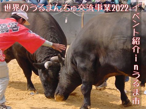 美ら島おきなわ文化祭2022 分野別フェスティバルのイベント紹介コーナー その96／