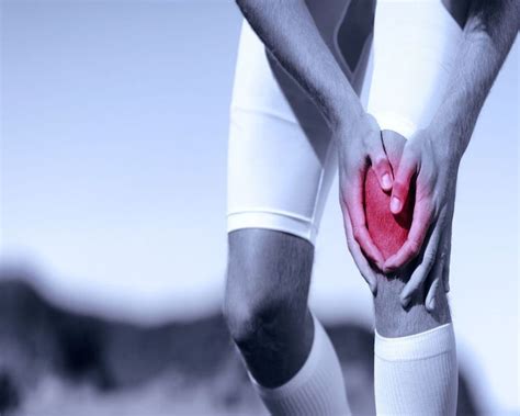 Article What Are The Differences Between Your ACL MCL And Miniscus