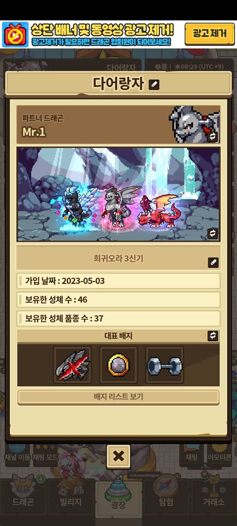 드래곤빌리지 컬렉션
