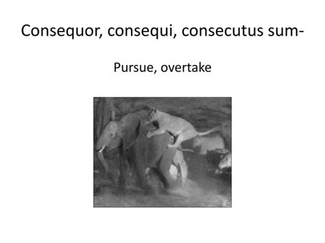 Deponent Verbs Maggie Montler Pptx