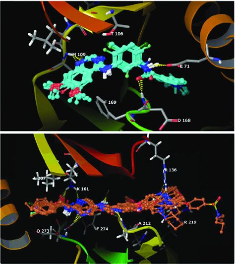 Conformational Overlay Of Compounds Within The Binding Site Of P38 Download Scientific Diagram