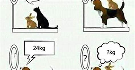 Can You Solve It Album On Imgur
